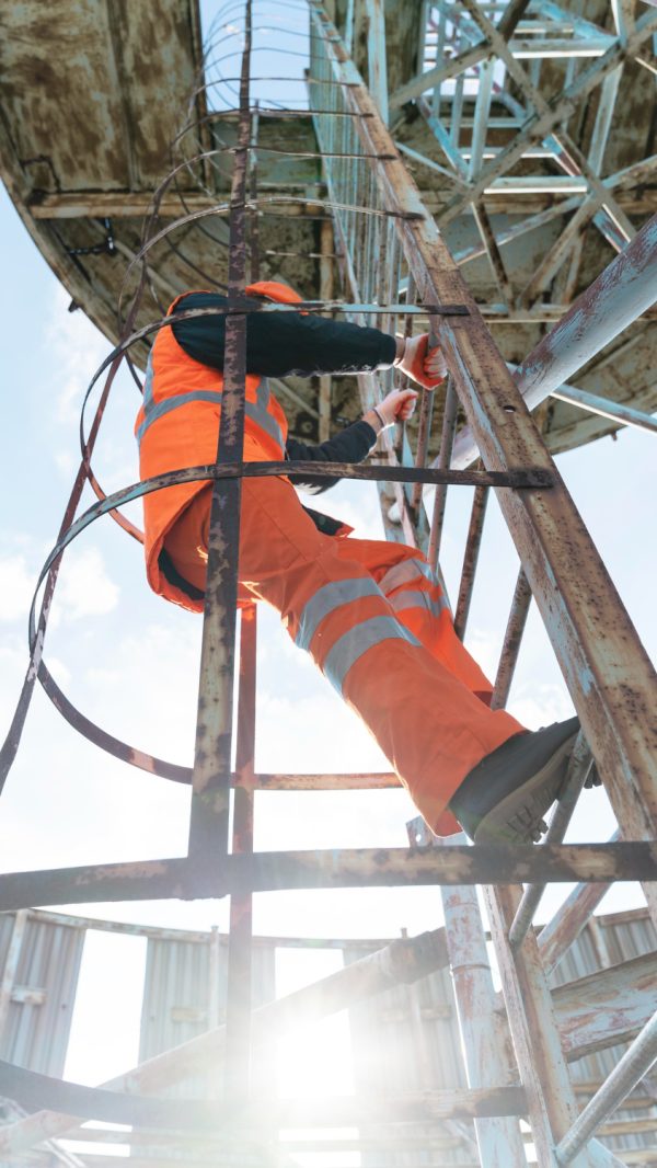 Best Steel Cage Ladders In Singapore For 2024 | Pollisum